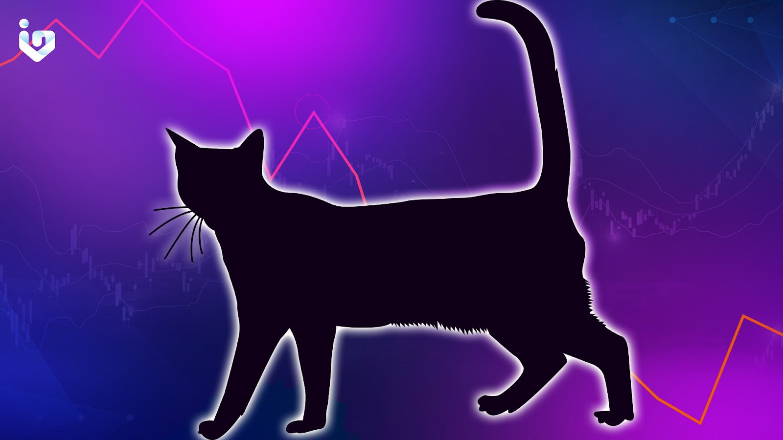 Understanding the Dead Cat Bounce - InvestaDaily
